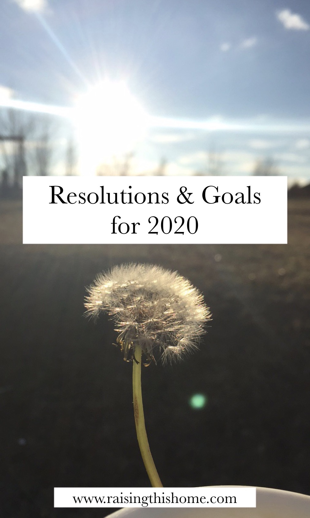 Resolutions and Goals For 2020 – Raising This Home